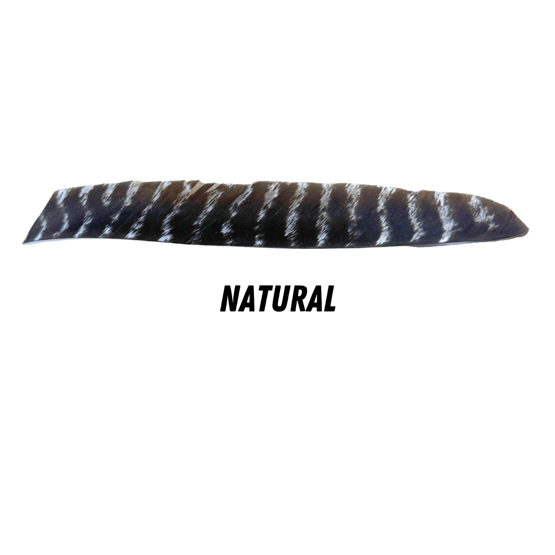 King Feathers - Full Length - Natural Barred – Kustom King Traditional ...