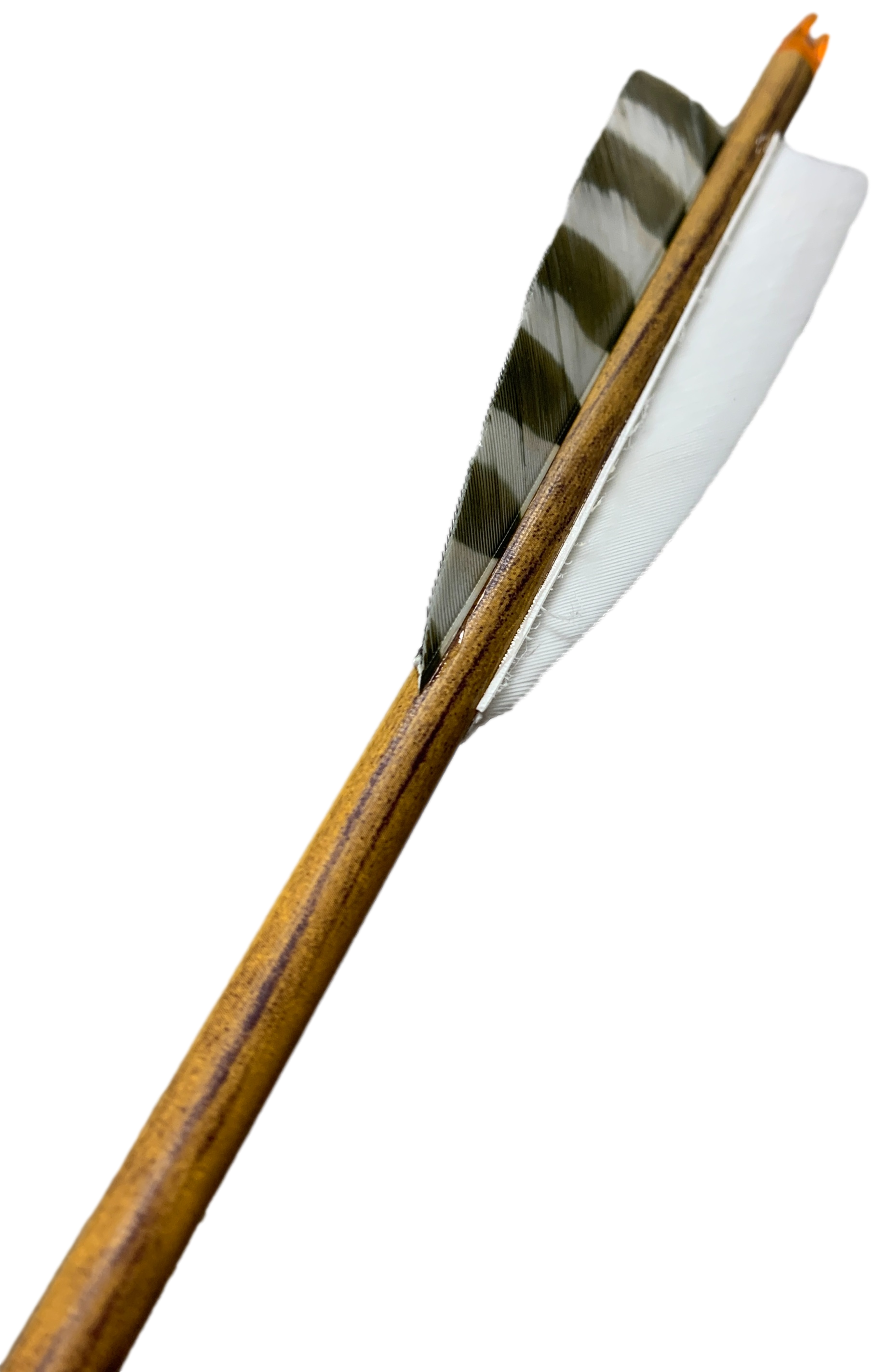 feather for arrow